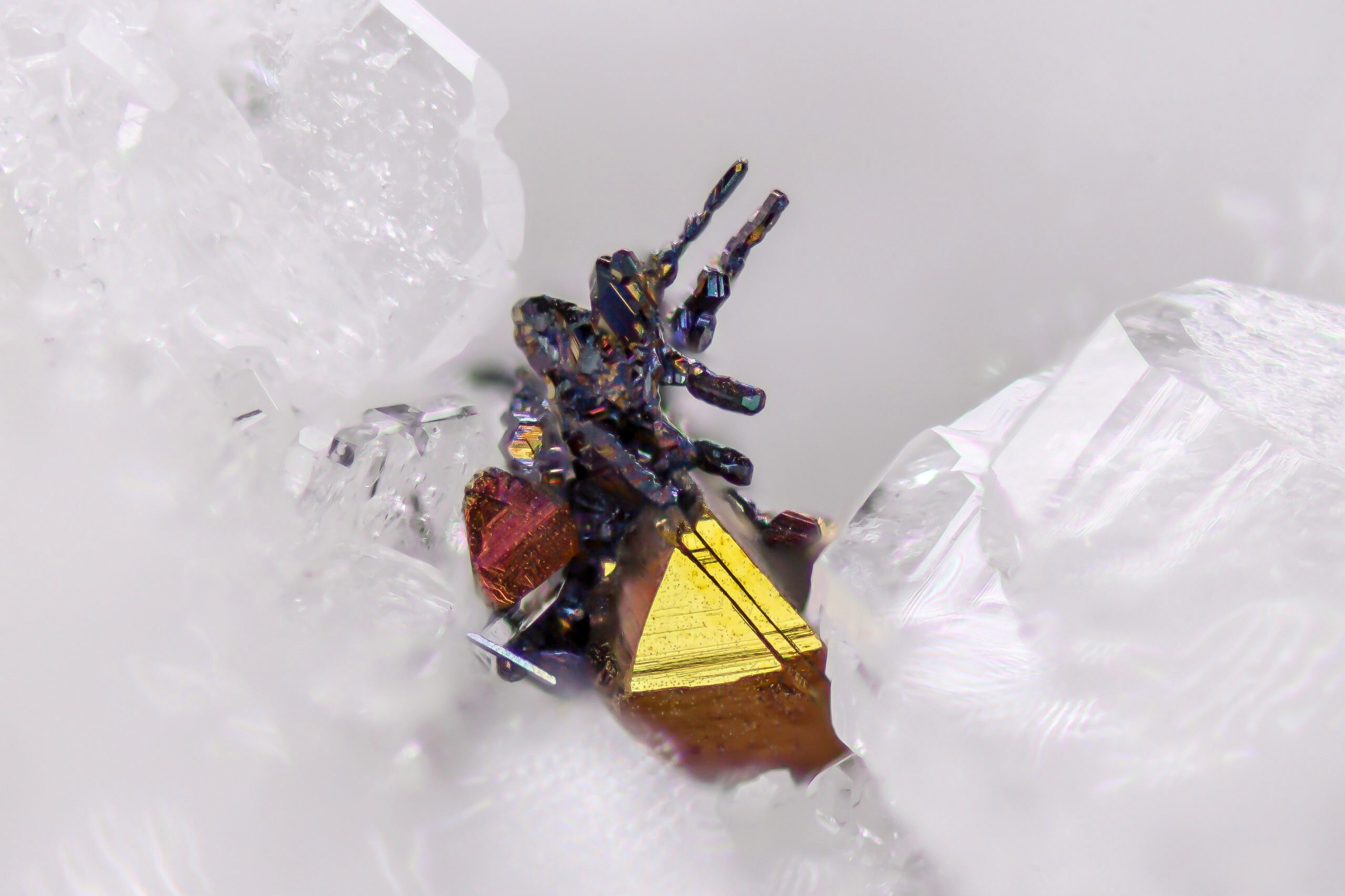 Mineralen K - O :: Claramineralen