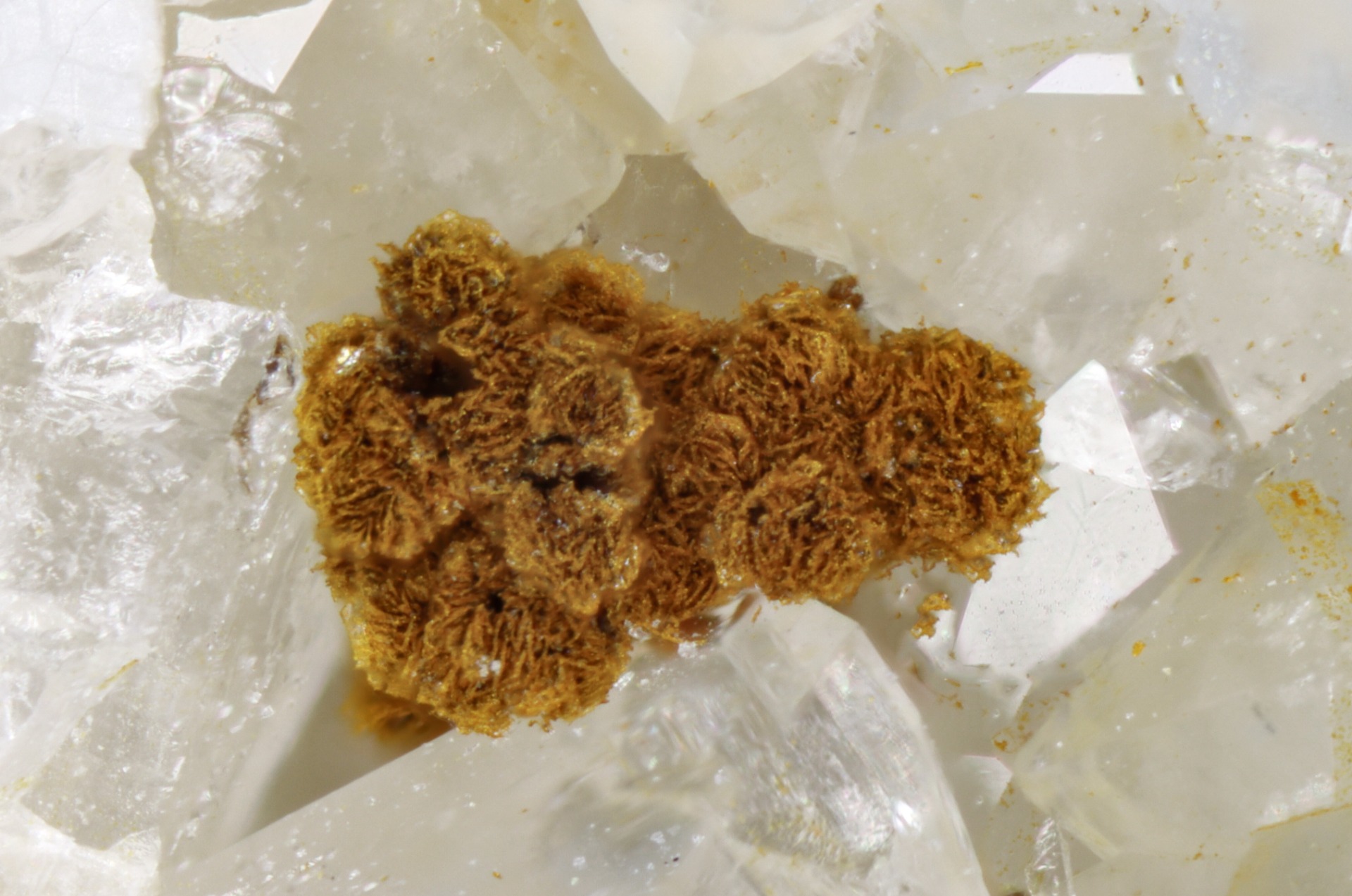 Mineralen P - U :: Claramineralen